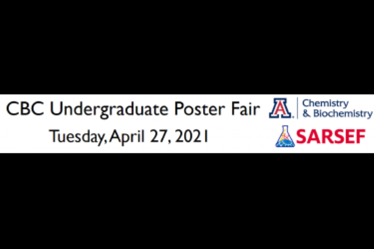 2021 Undergraduate Poster Fair Winners | UArizona Department of ...